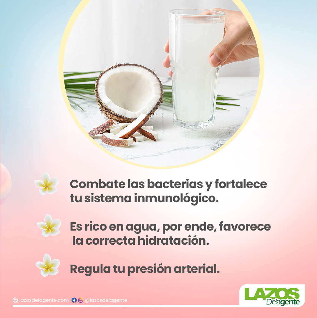 Una fruta de múltiples beneficios. Conoce las propiedades del coco ...